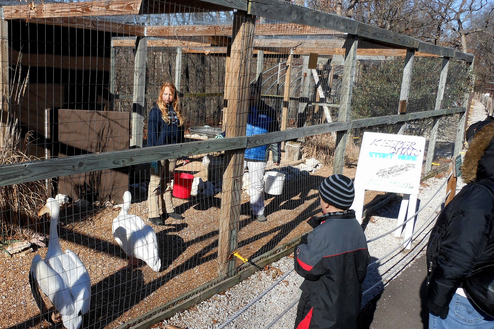 World Bird Sanctuary: Introducing This Year's Newest Event