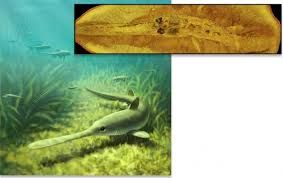 Escenarios prehistóricos: Bandringa