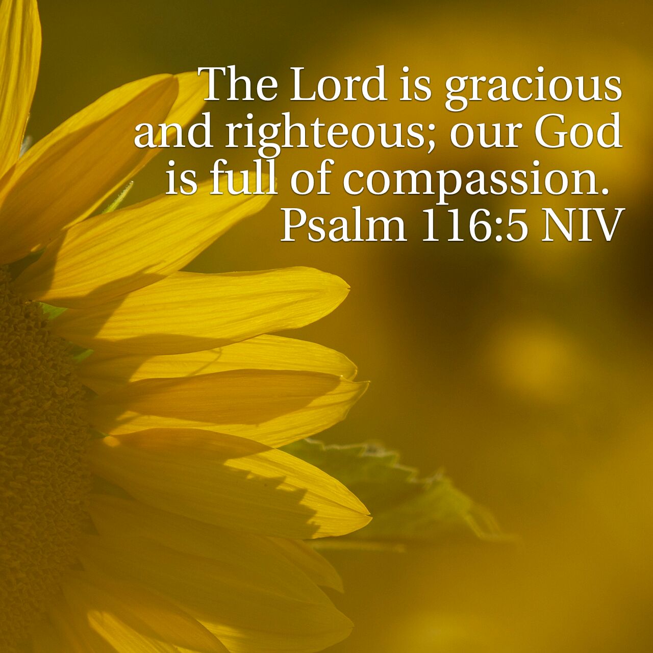 First Fruits of the Day: Psalm 116:5 - Compassion