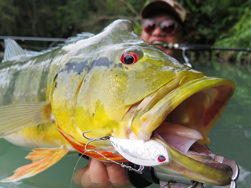 Tackle Source: JUNGLE IN THE JUNGLE!