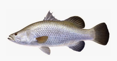 Jenis Jenis Ikan Air Payau