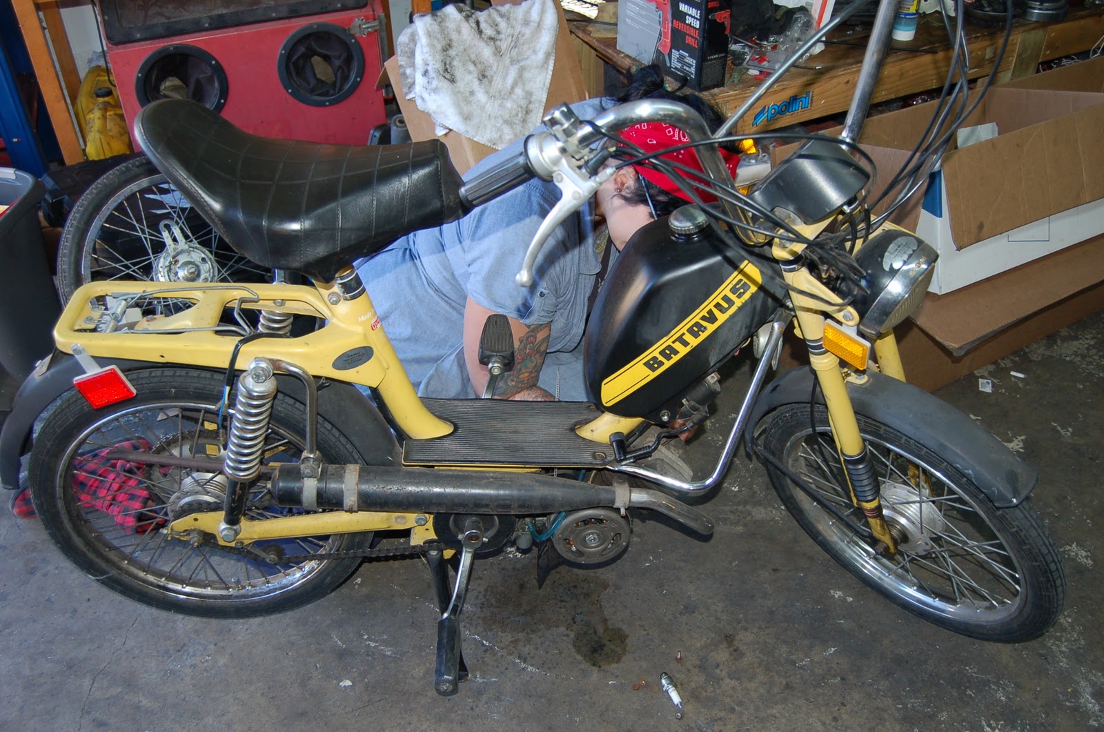 Home Alone with Mopeds.: Random moped photos.