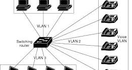 Lailatul Qomariyah TKJ 8: Pengertian, Manfaat, dan Jenis VLAN