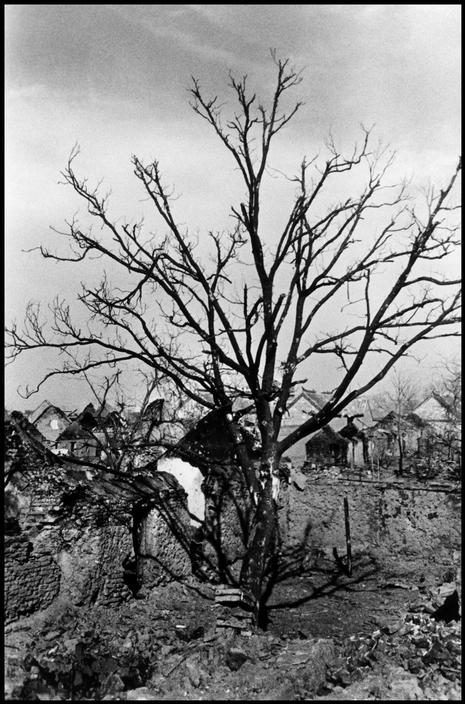 solitary dog sculptor: Photos - Fotos: Robert Capa - China 1938 - Sino ...