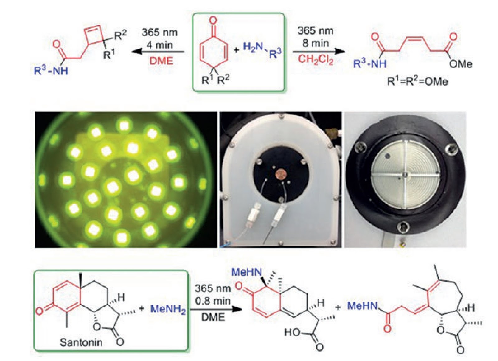 Photoinduced Rearrangement of Dienones and Santonin Rerouted by Amines ...