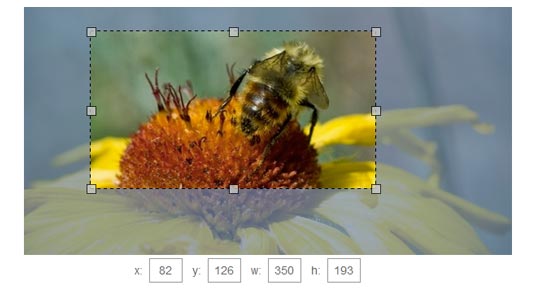 5 jQuery Image Crop Plugin & Tutorials | Learning jQuery