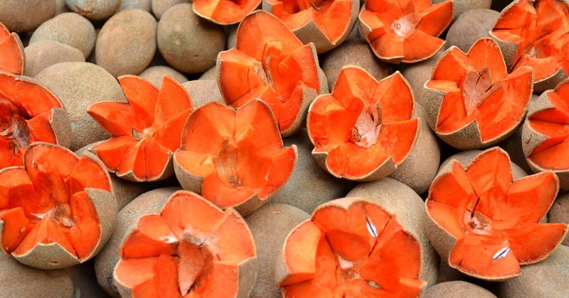 PROPIEDADES CURATIVAS DEL MAMEY ~ ALMIBAR DE MAMEY