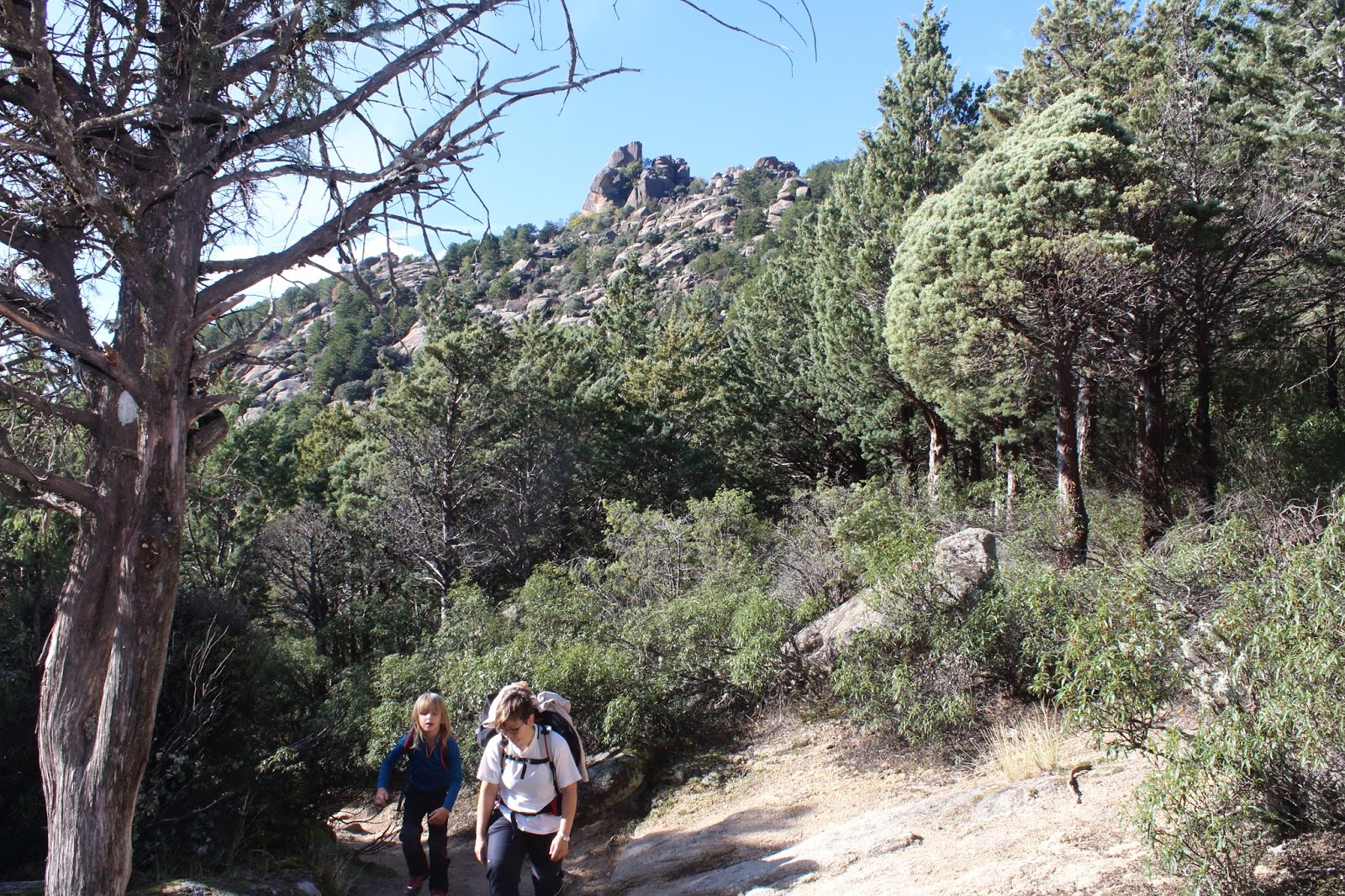 Rutas por La Pedriza I: Desde El Tranco hasta Cuatro Caminos ...
