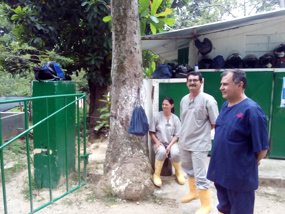 C: Proceso Avidesa Macpollo 2016