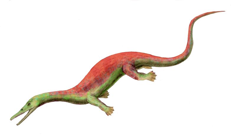 Reptossaurus: THALATTOSAURIA