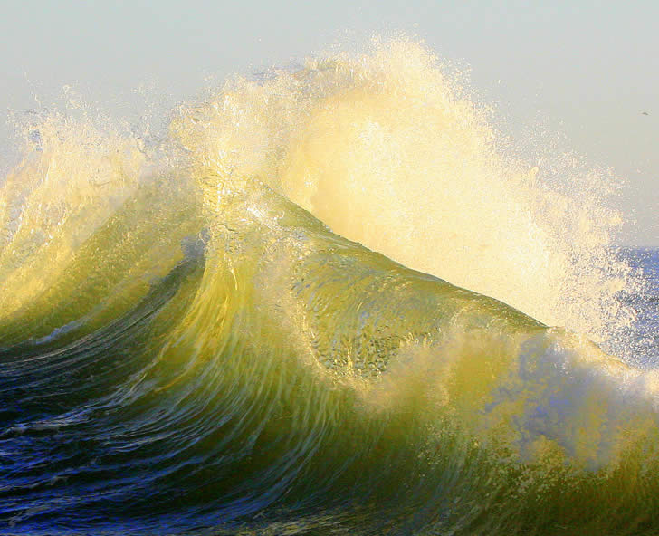 Galileo Feynman: "Golden Waves" -- Photographs by William Dalton