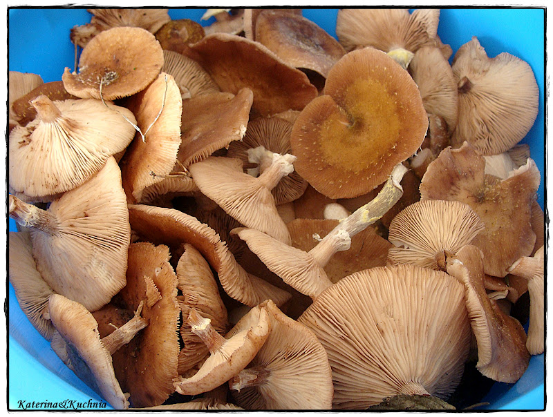 Katerina&Kuchnia: SOS Z OPIENIEK