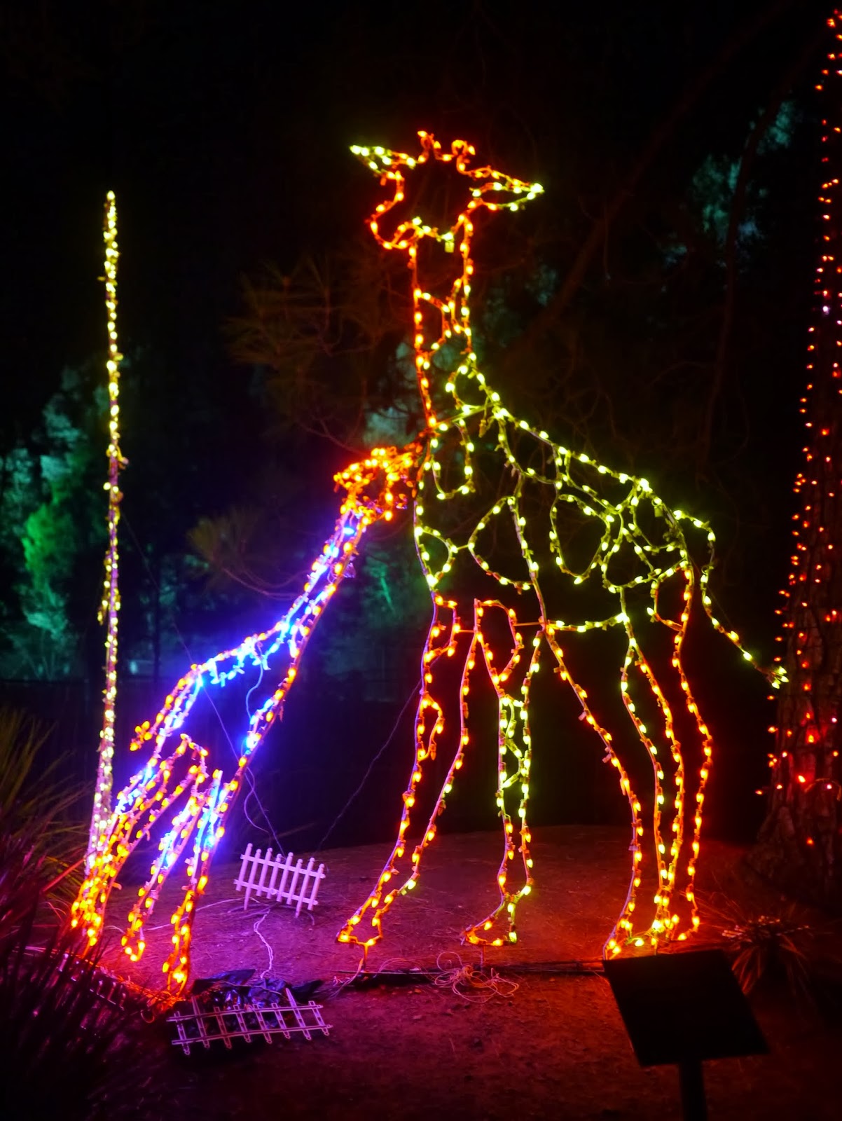 Little Hiccups: Zoo Lights at Oakland Zoo