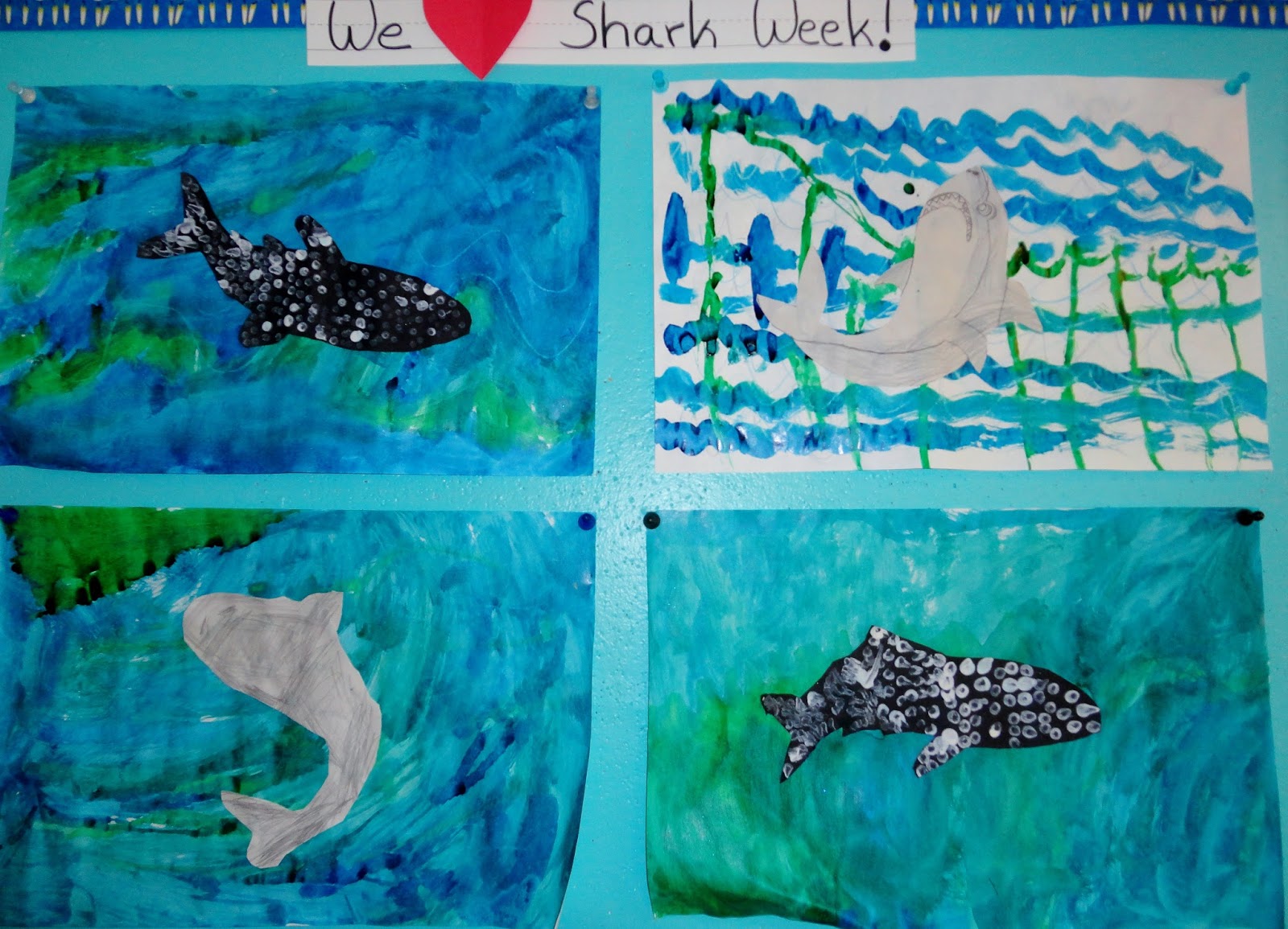 My Catch A Star Classroom!: Shark Week!