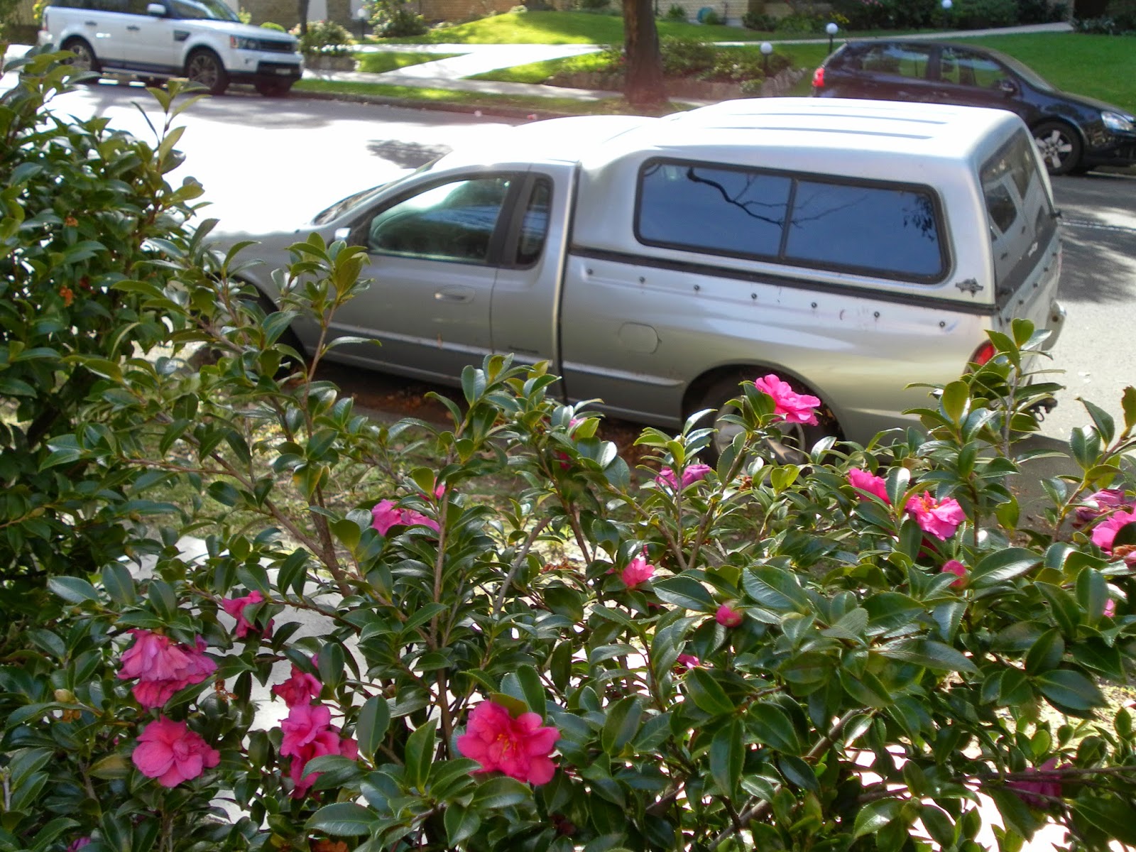 Aussie Old Parked Cars: 2002 Ford BA Falcon XLS Ute + Challenge ...