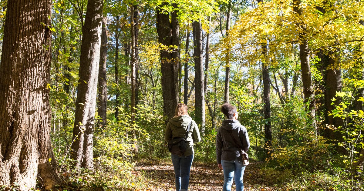 Virginia Beach Parks & Recreation