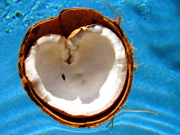 Toxic Free YOU: Coconut Love