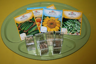 Our Country Road: Montessori Science: Parts of a Seed Unit