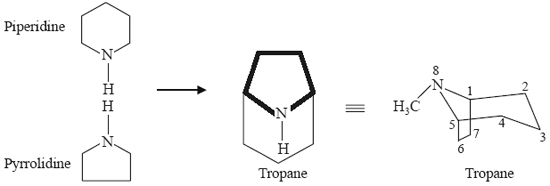 Tropane alkaloid - Alchetron, The Free Social Encyclopedia