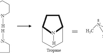 Tropane Alkaloids