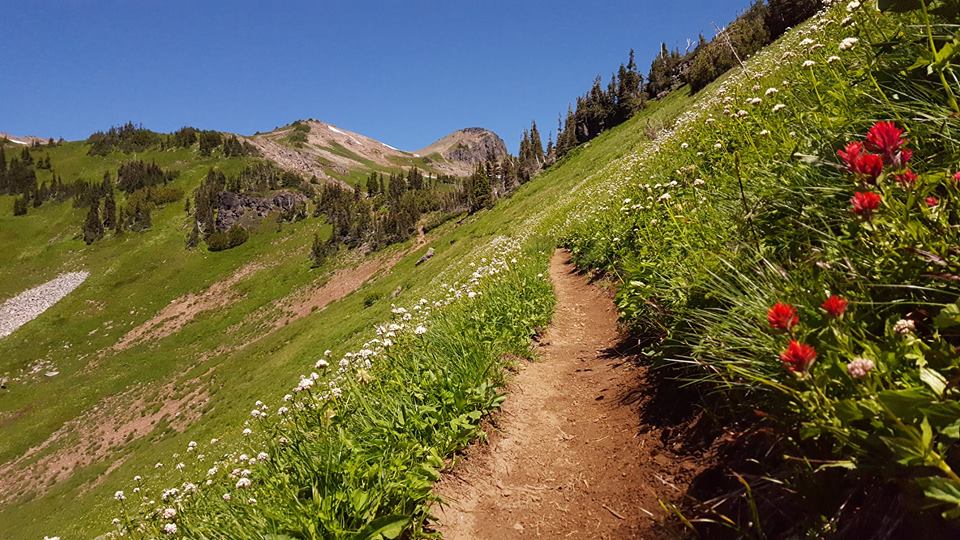 Three Hiking Sisters: Hawkeye Point, Goat Lake to Snowgrass Flats Loop ...