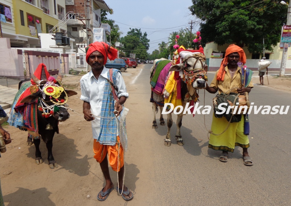 Heritage of India: Gangireddu and Gangireddulaata (గంగిరెద్దు మరియు ...