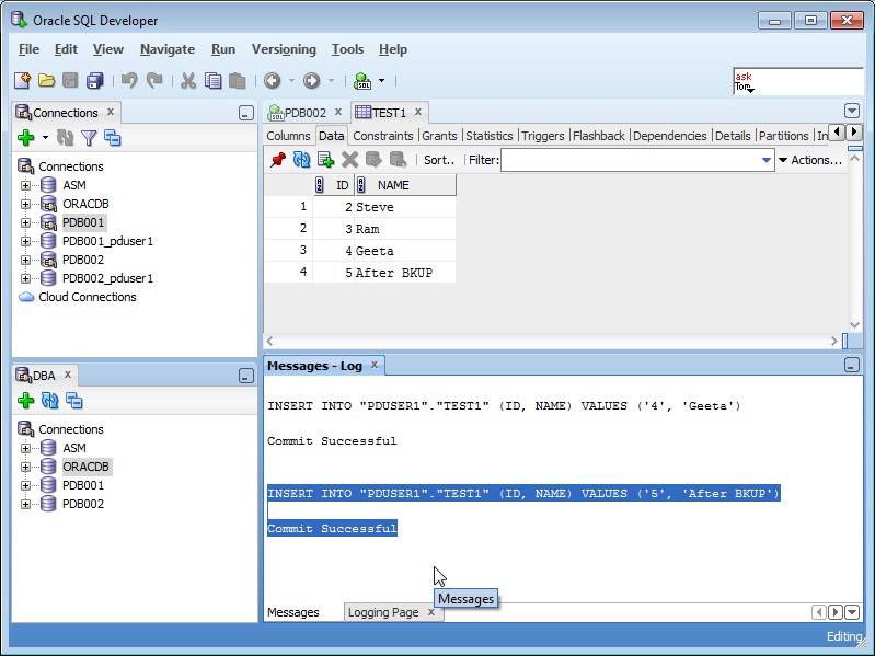 Senthil Rajendran's Blog: Managing 12c with SQL Developer : RMAN ...