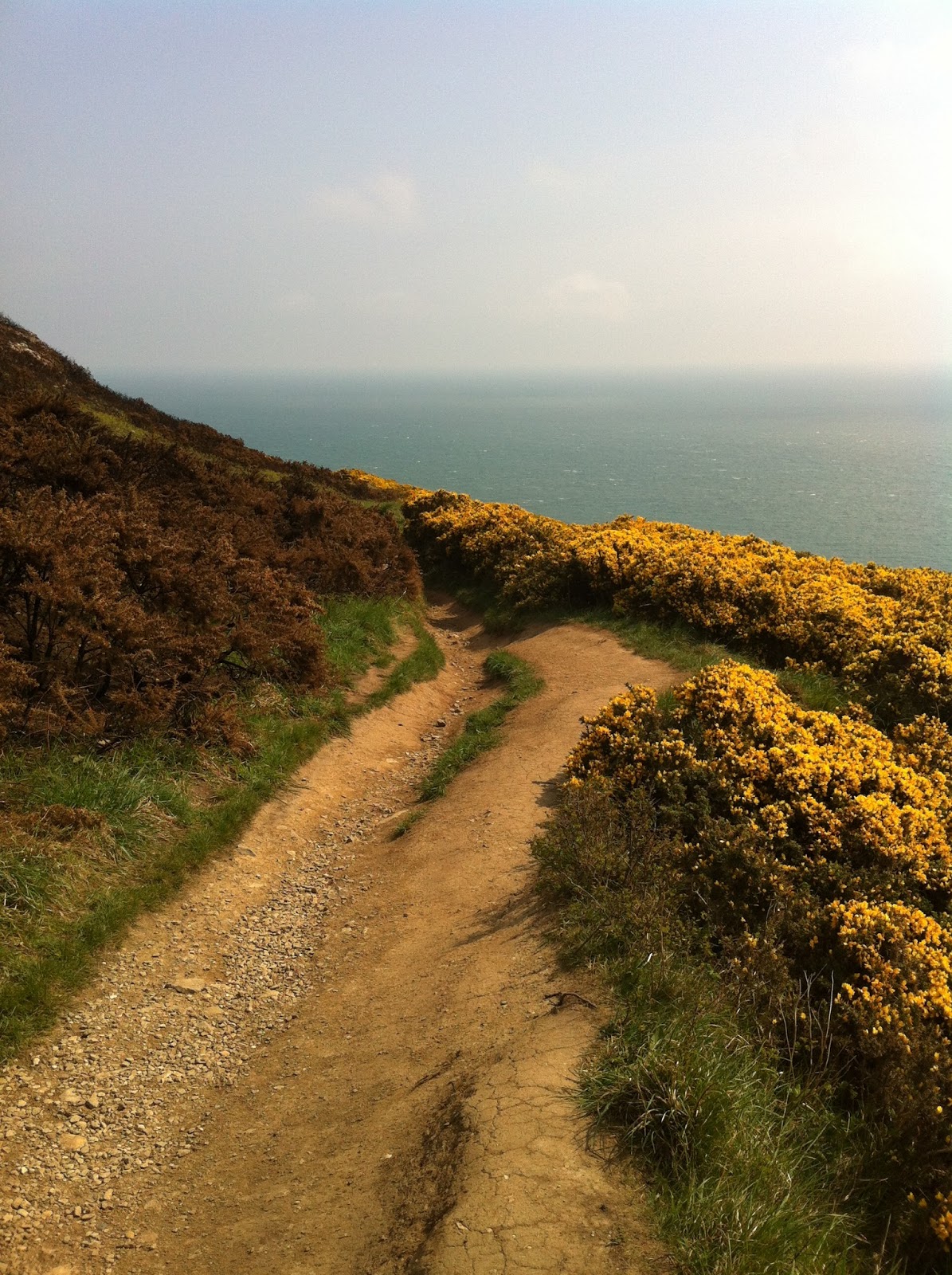 Our Days in Dublin: Walk 4: National Looped Walk - Howth