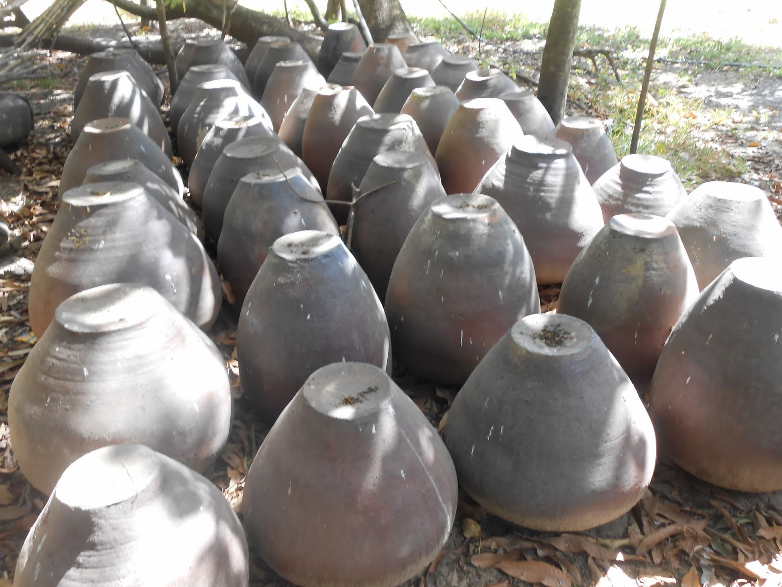 Discover the world with Kanuto: BASI REVOLT (Movement for the Love of ...