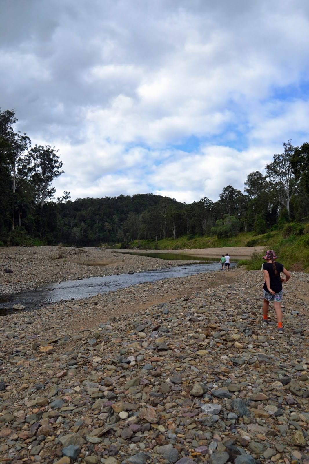Life & Times: Walking at Kenilworth - Fig Tree Walk