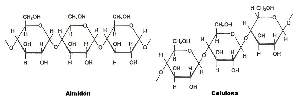 BIOLOGIA 631 PREPA 5 UNAM: agosto 2011