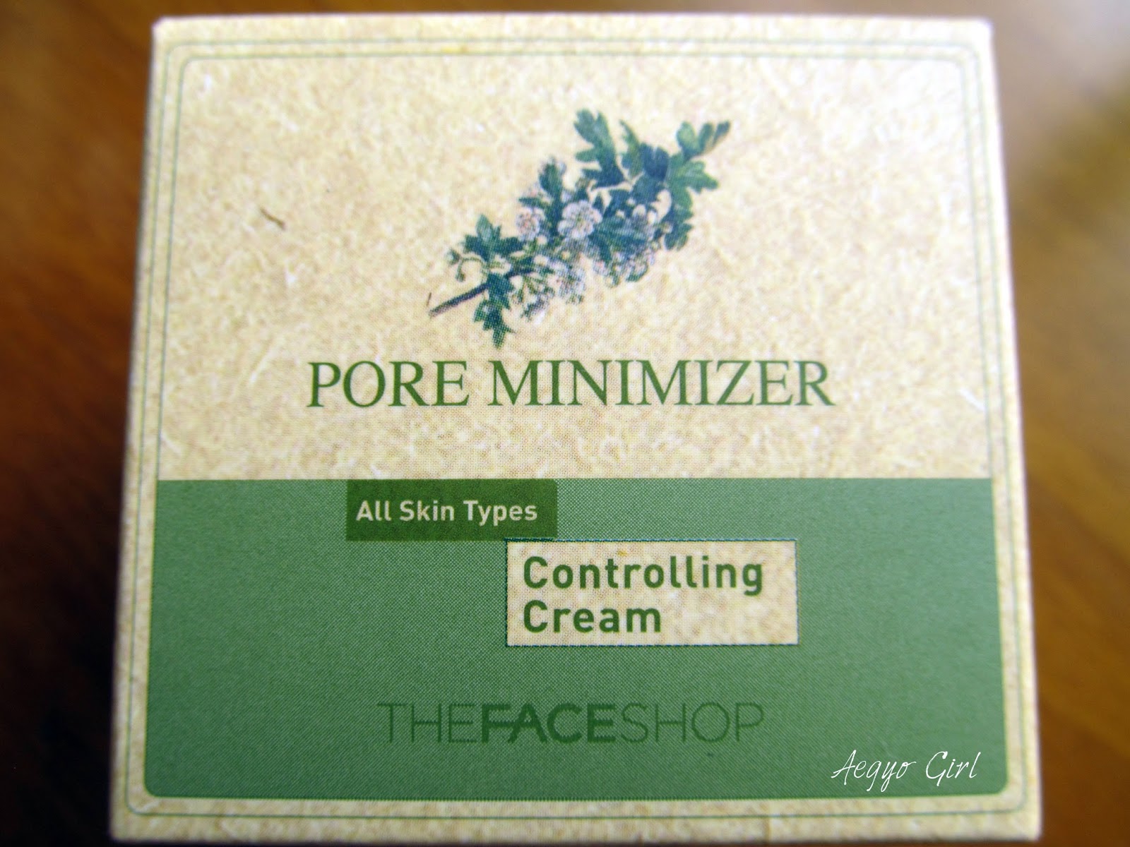 The Beauty Sweet Spot: REVIEW: THEFACESHOP Pore Minimizer Controlling Cream