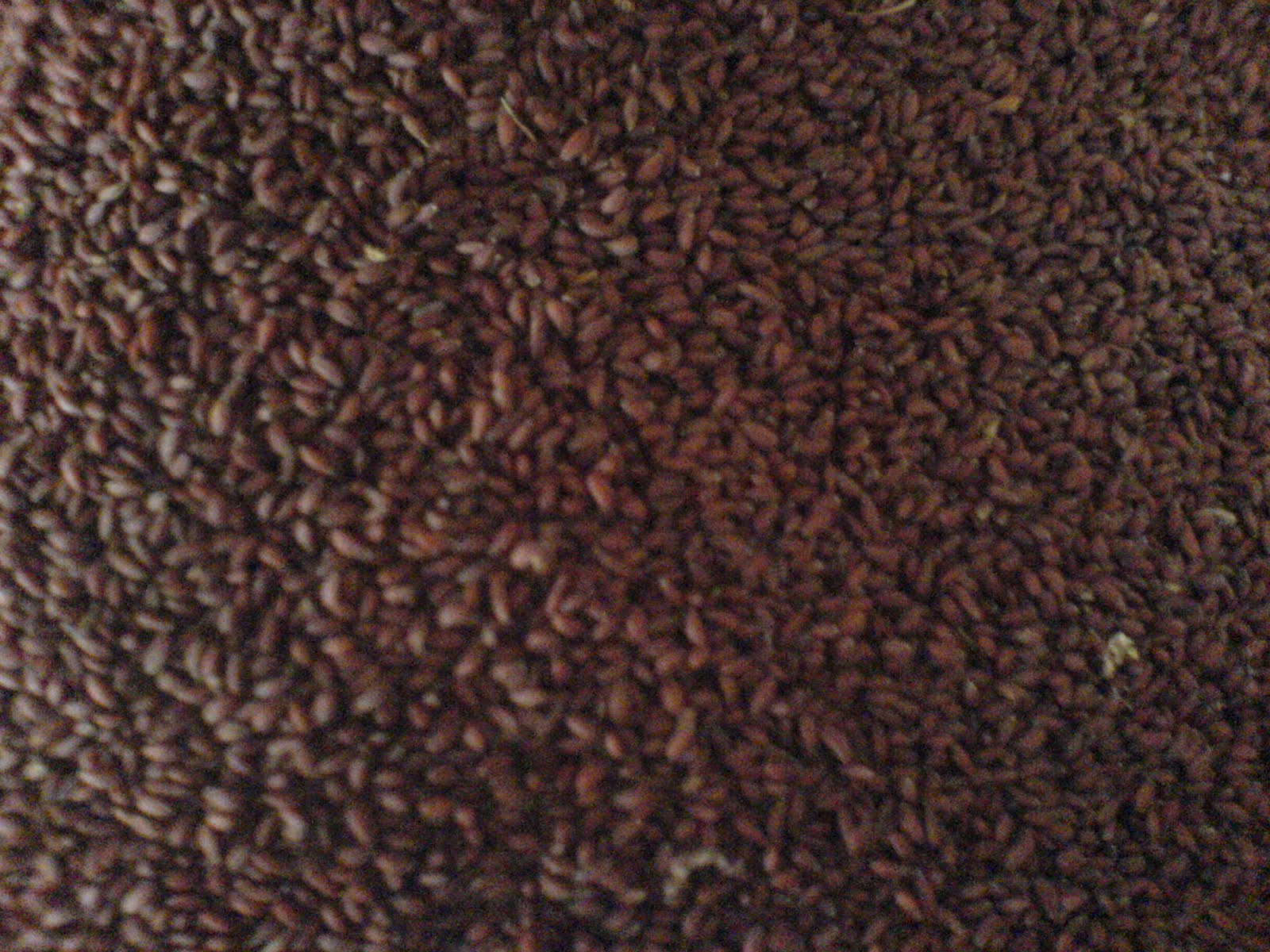 PIN TUDUNG DAN PELBAGAI PRODUK LAIN: Rempah ratus