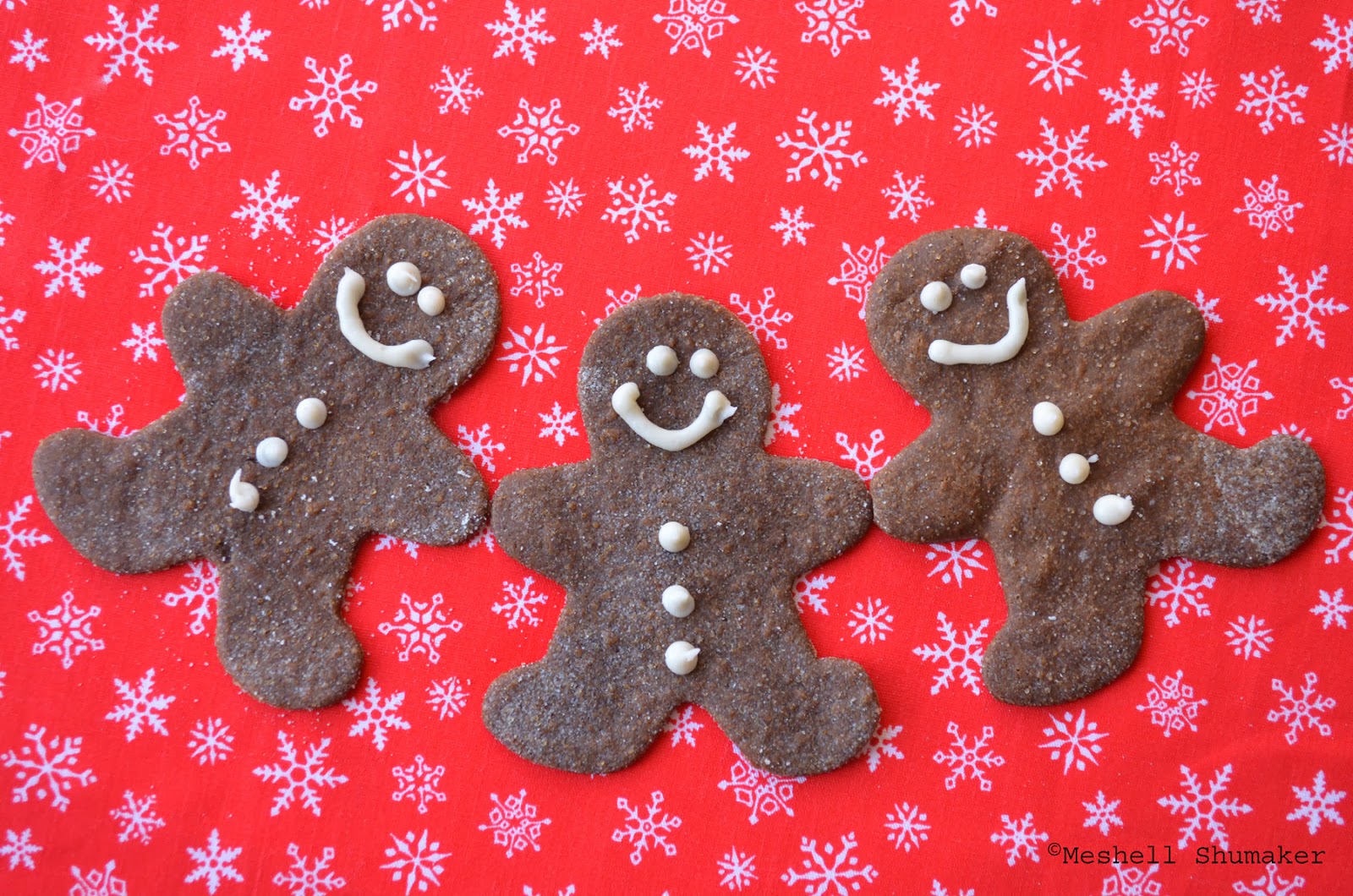 Adaptive Cooking: Cardboard Cookies AKA Gluten Free Molasses Cookies