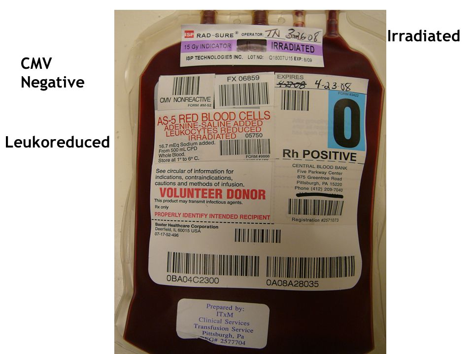 LB-49 Irradiated Blood Components