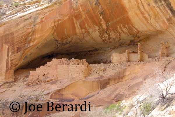 Joe Berardi Utah Hikes: Utah Anasazi Canyon Hike - Comb Ridge - Monarch ...