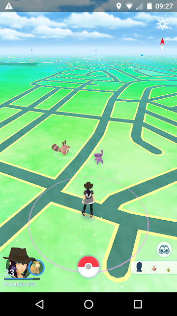 A Family Against the Flow: Emma's Exercise Experiments - Pokemon Go