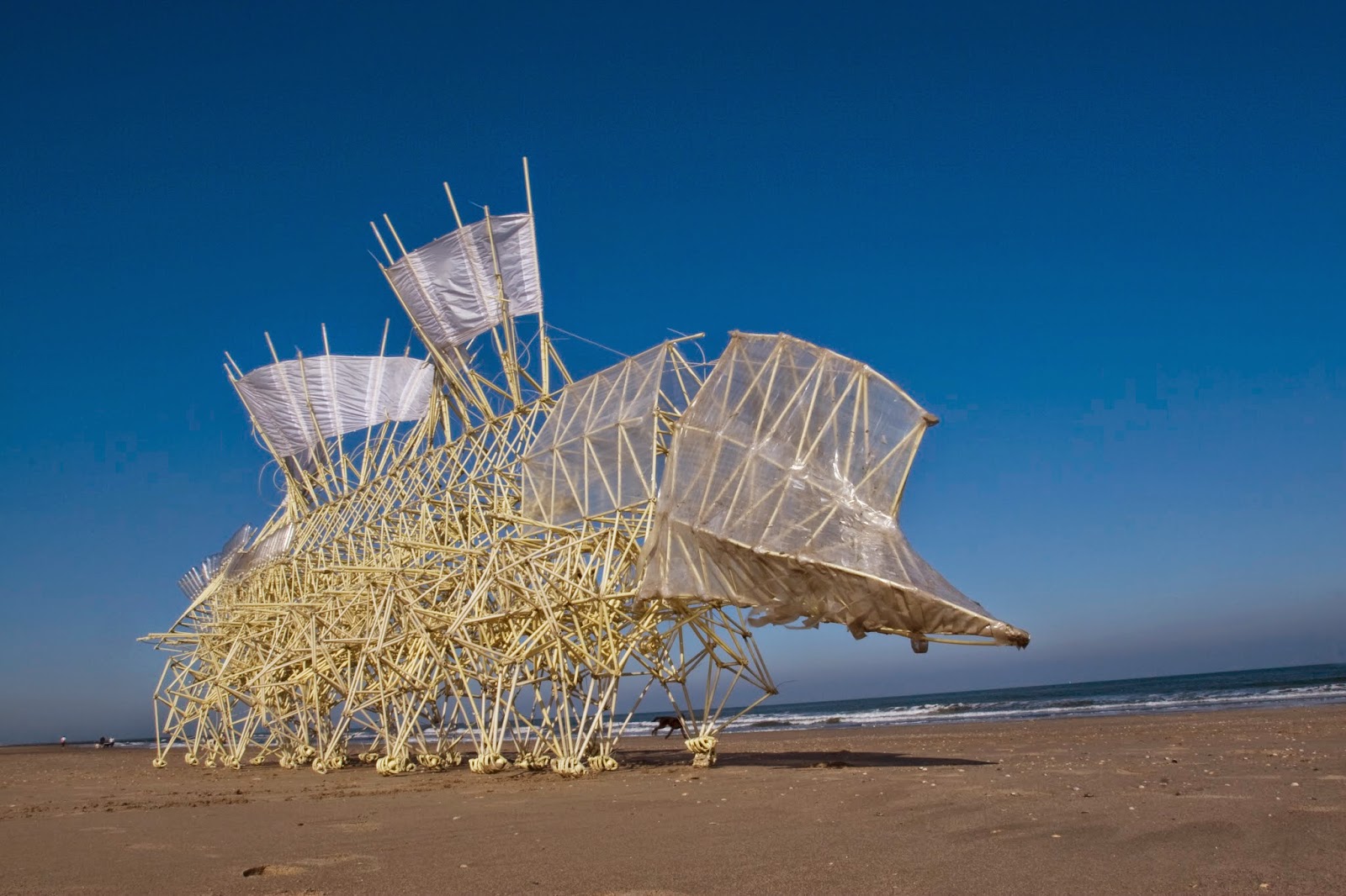 Claudio Tomassini: Theo Jansen's