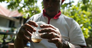 FIGHT AGAINST DENGUE: DENGUE AND MORE ON IT