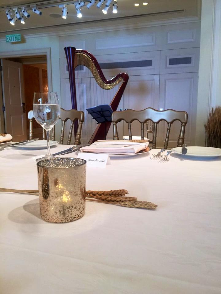 Diana Cheung the Harpist: 豎琴表演Harp Performance for Chanel @Peninsula Hotel
