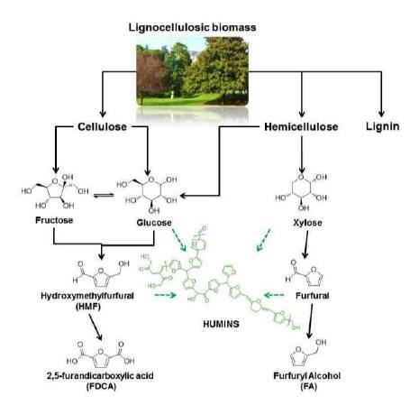 AgroBonômica: Huminas Shell