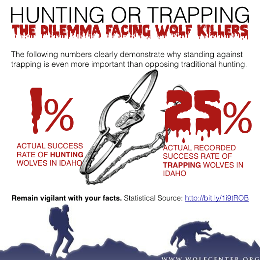 ERIPE LUPUS: BAN WOLF HOUNDING~ STOP WOLF TRAPPING ~STOP WOLF HUNTING