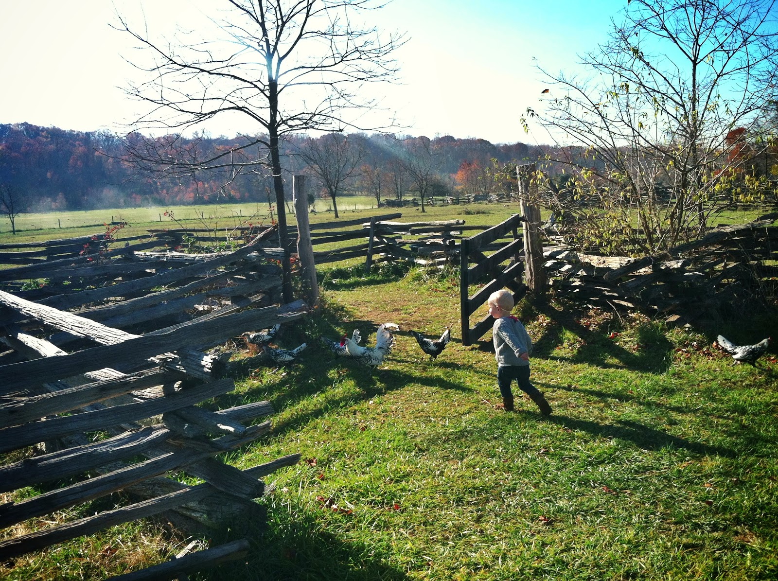 Mikey and Paigey: National Colonial Farm