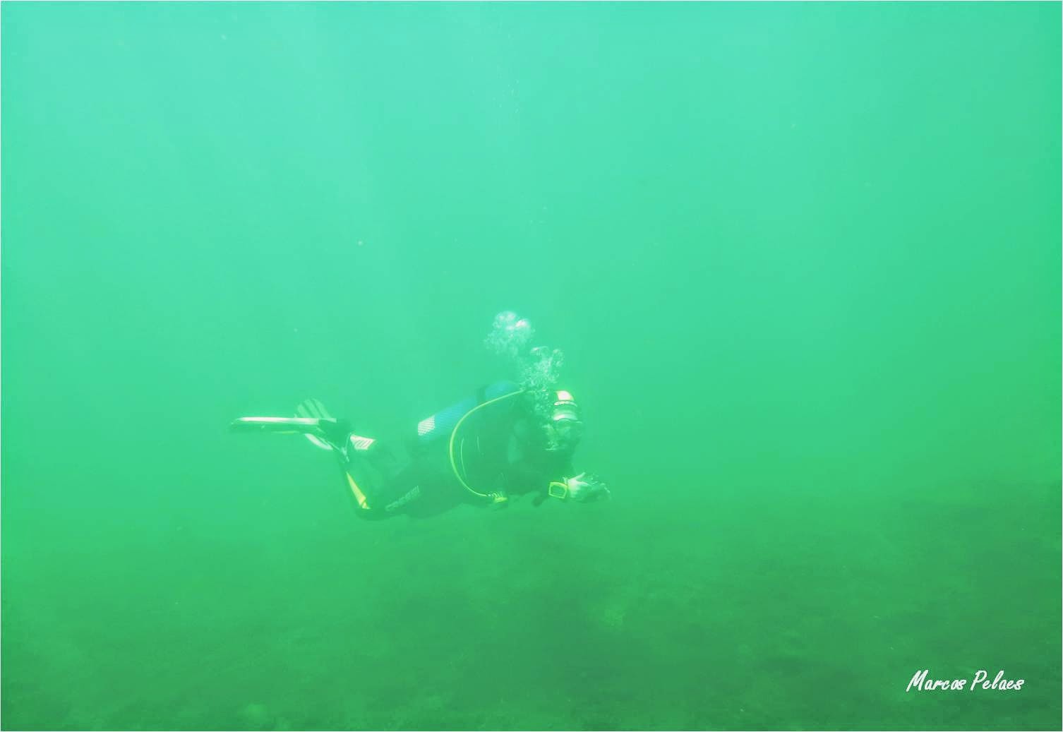 Hidrofilia: Mergulho no Tietê II