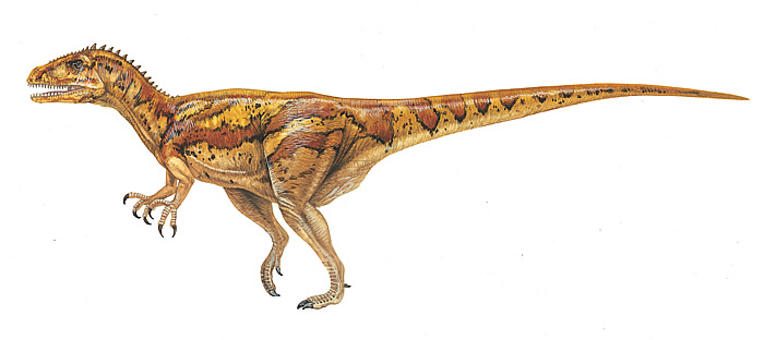 Los animales en la prehistoria: Animales prehistóricos con la letra K