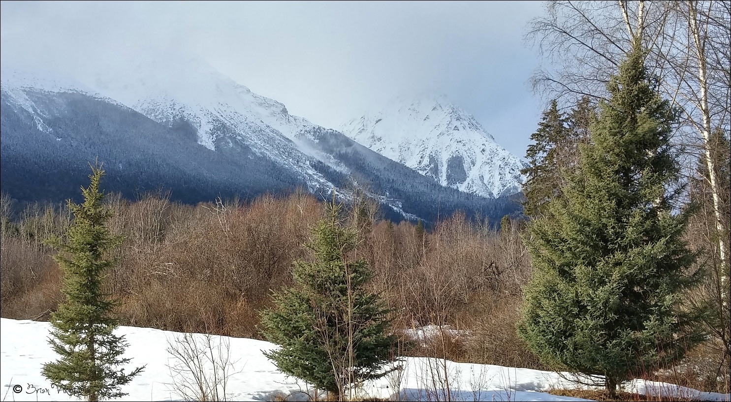 Northern Interior British Columbia: Winter's Snowfall 2 On The ...