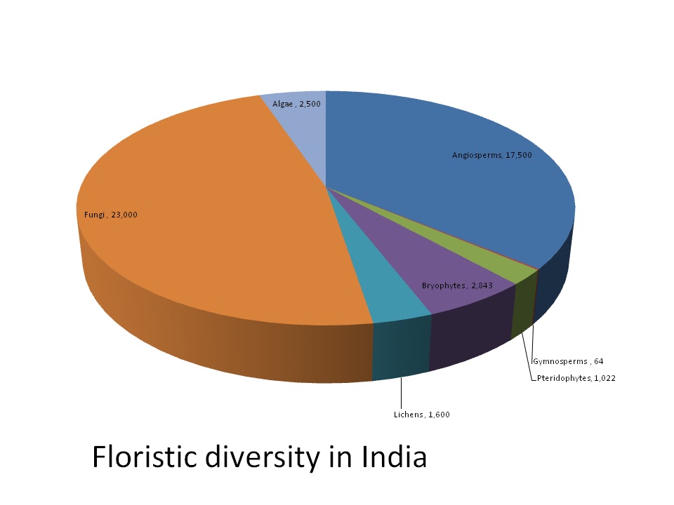 Status of Biodiversity & Sanjeet