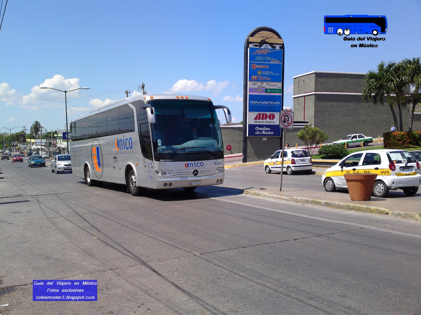 Transportes Publicos: Unico de Transpais