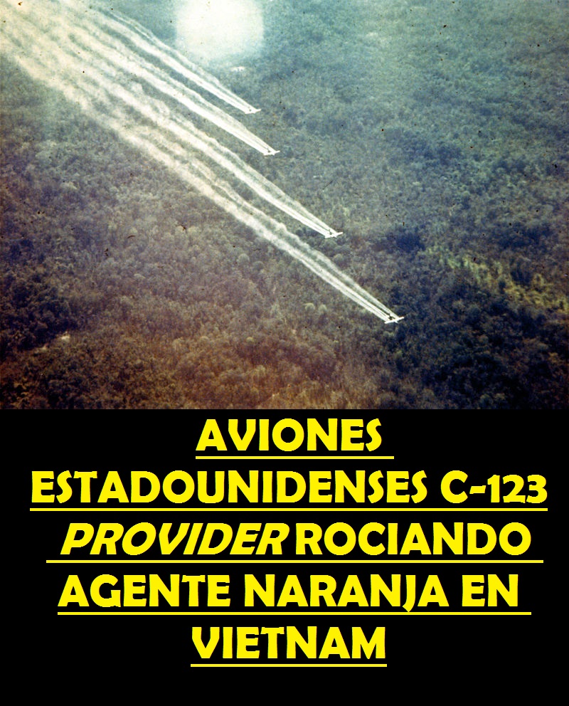 DESARMADOR POLITICO: PARA LAS VÍCTIMAS DEL “AGENTE NARANJA”, LA GUERRA ...