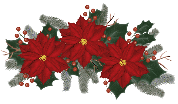 ® Gifs y Fondos Paz enla Tormenta ®: IMÁGENES DE FLORES NAVIDEÑAS